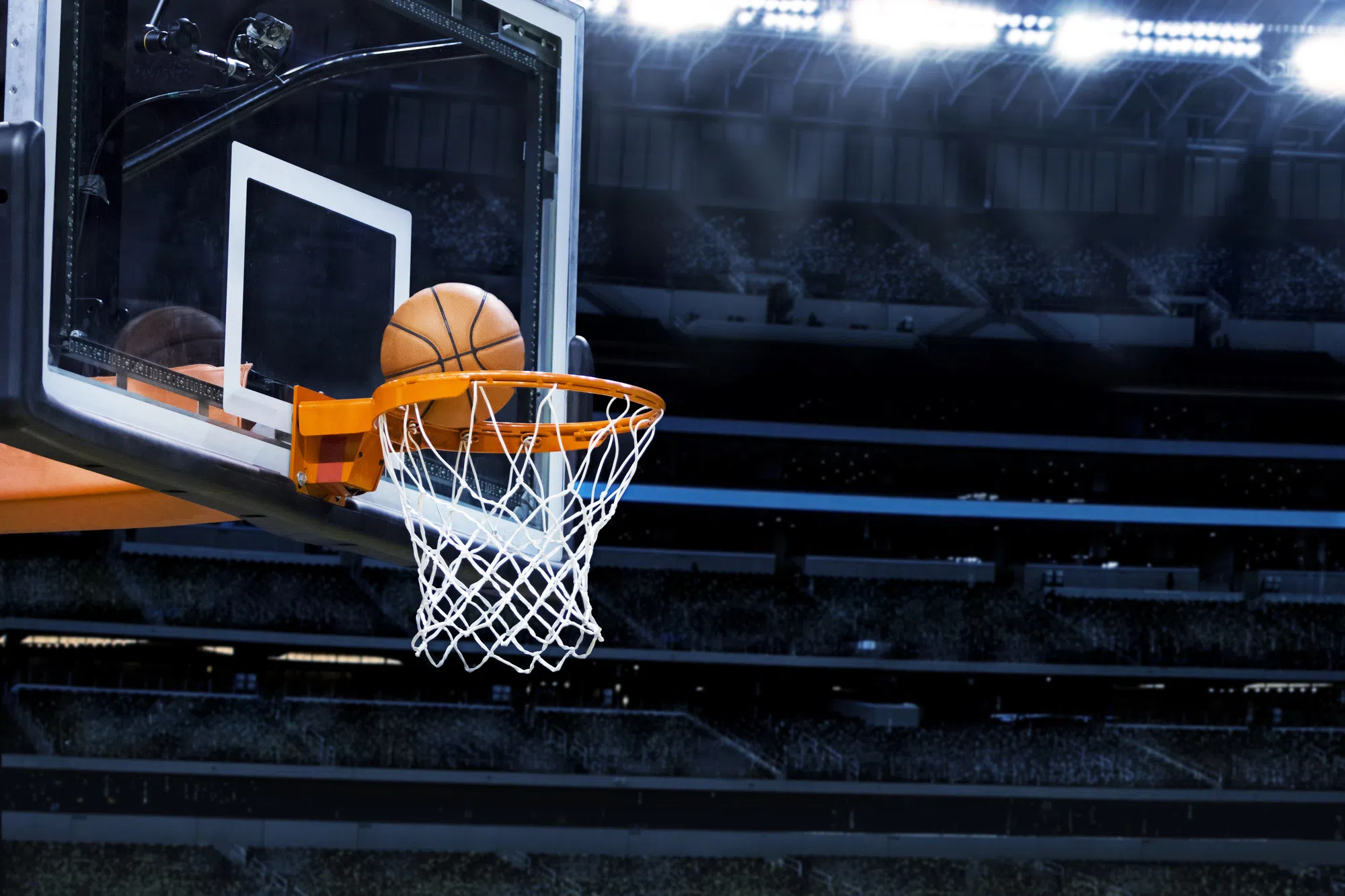 Hopes of bringing pro basketball back to Atlantic Canada - Acadia ...