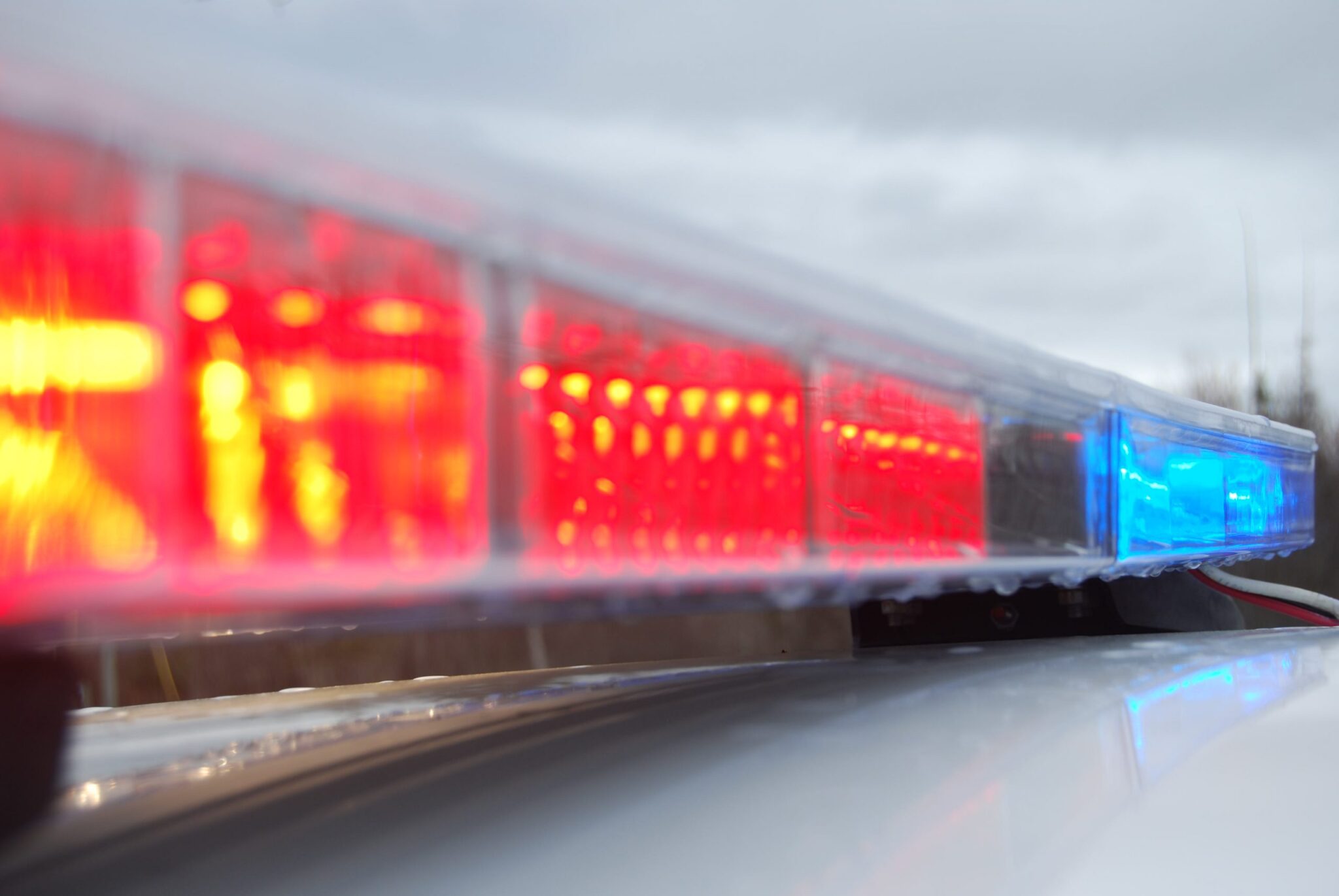 Dangerous man with machete at large in Musquodoboit Harbour - Acadia ...