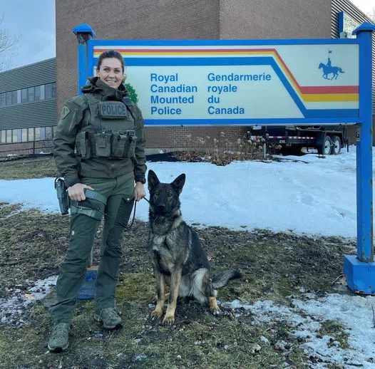 Boy safe thanks to help of RCMP Police Services Dog - Acadia Broadcasting
